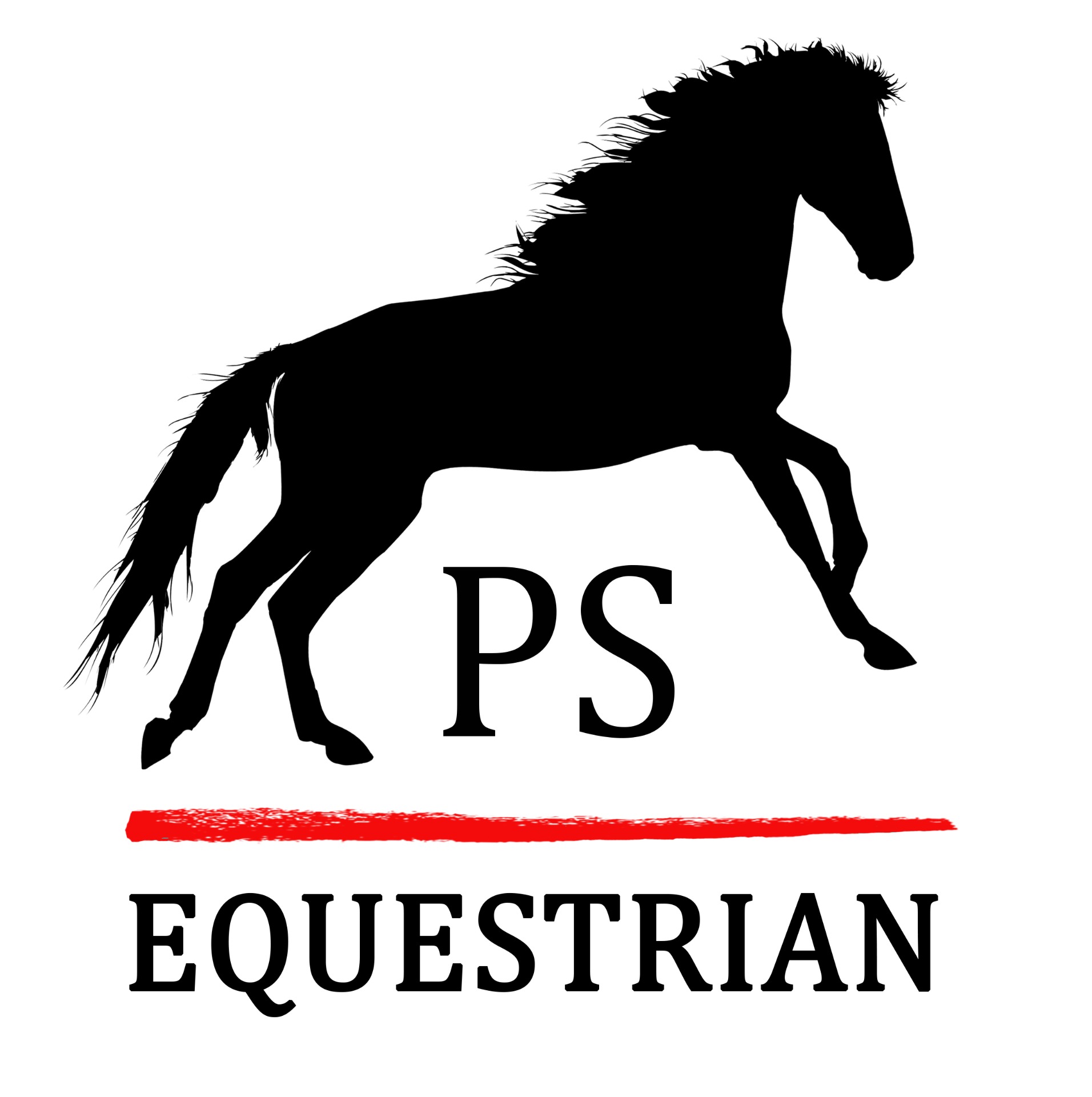 Horse Training horse-training